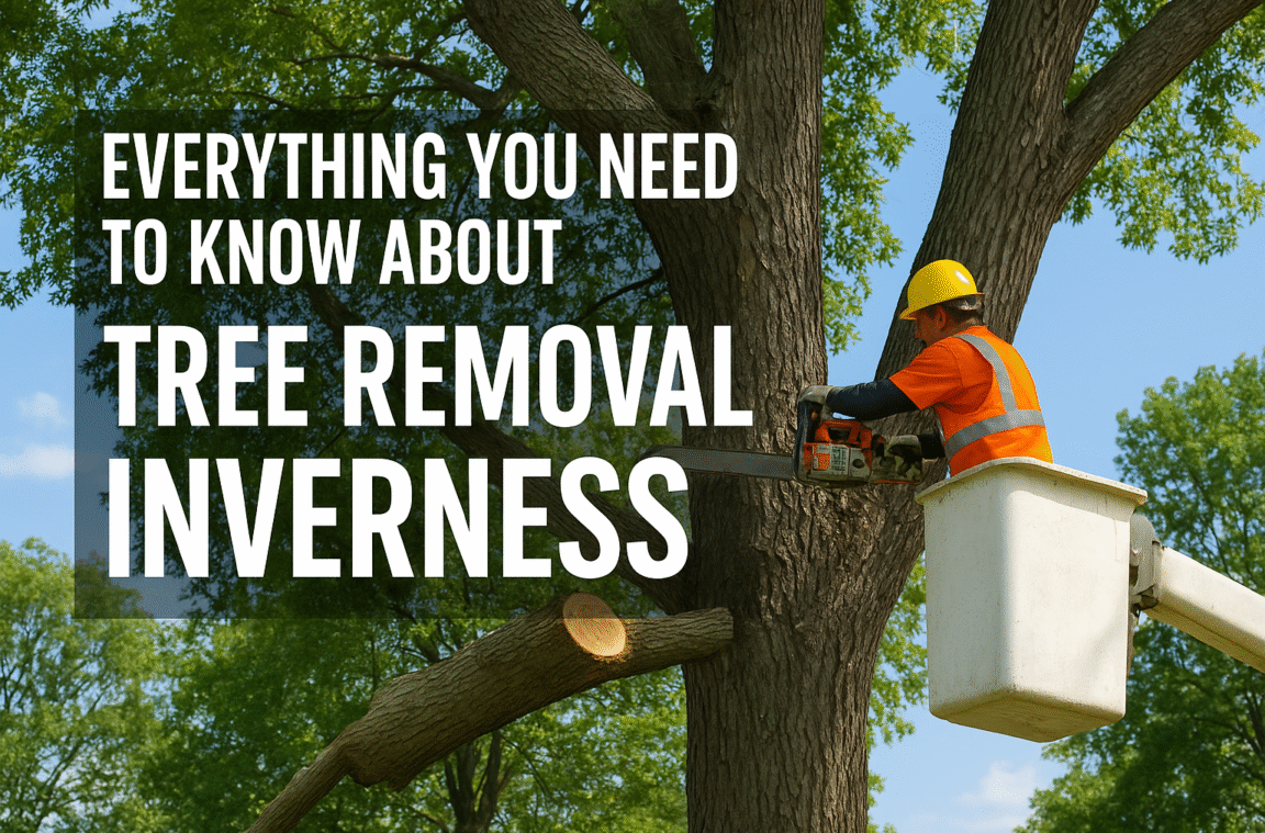 Everything You Need to Know About Tree Removal Inverness - ACHIEVE ...